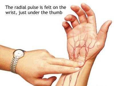 How To Make Pulse Counter